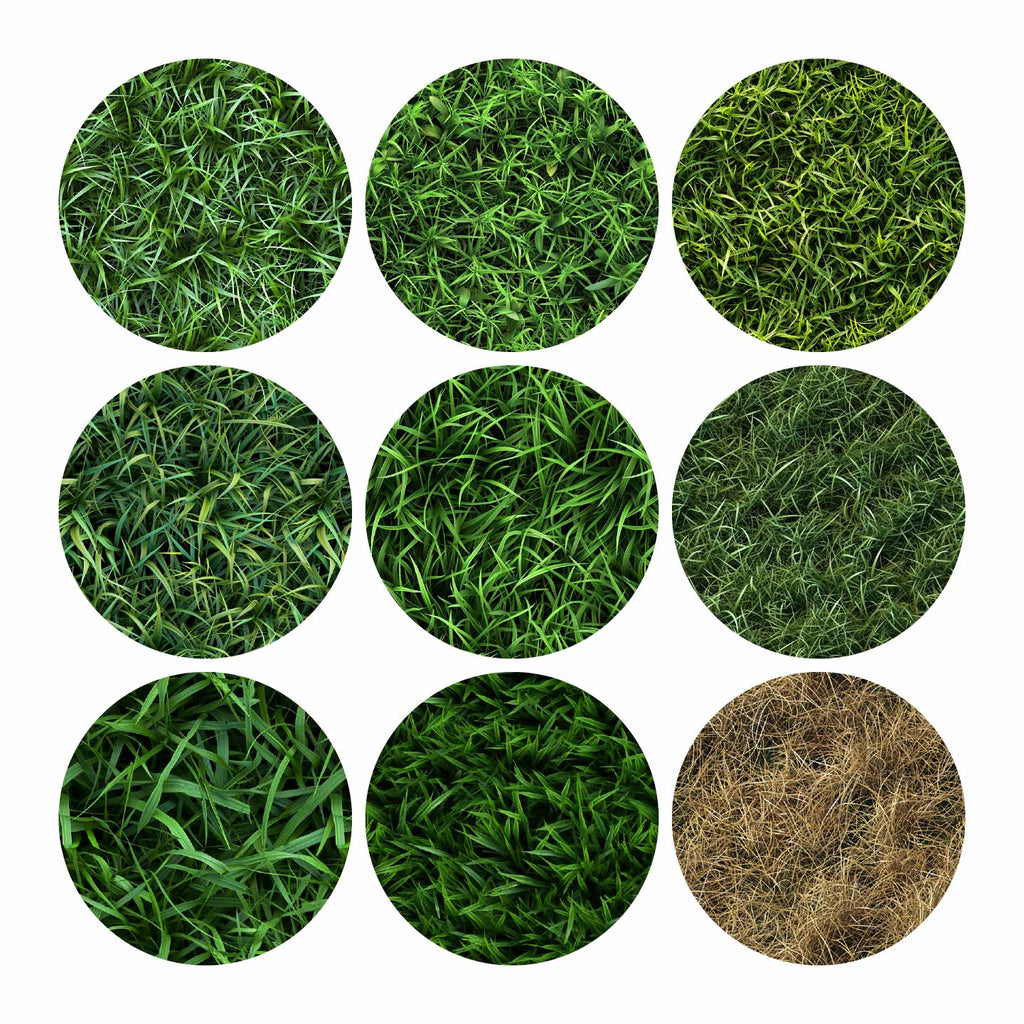 Architectural Materials | Patterns | Seamless Grass Textures – Studio ...