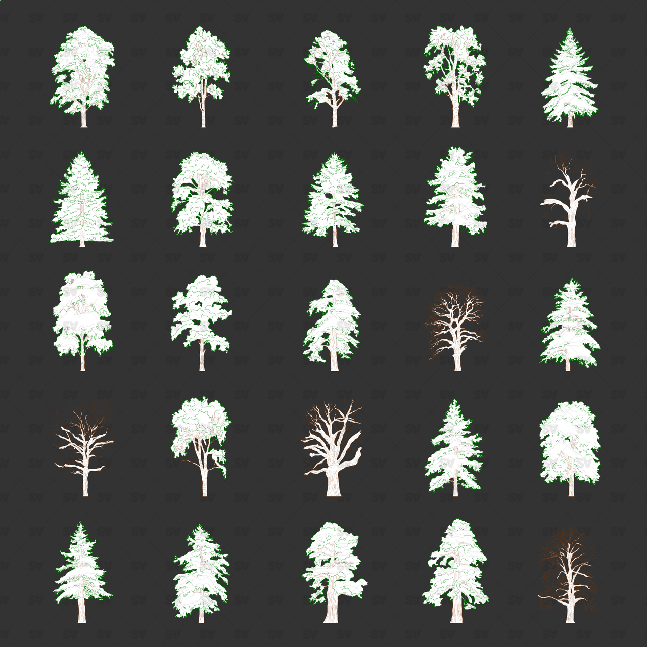 CAD, Vector, PNG Winter Trees in Color and B/W – Studio Alternativi