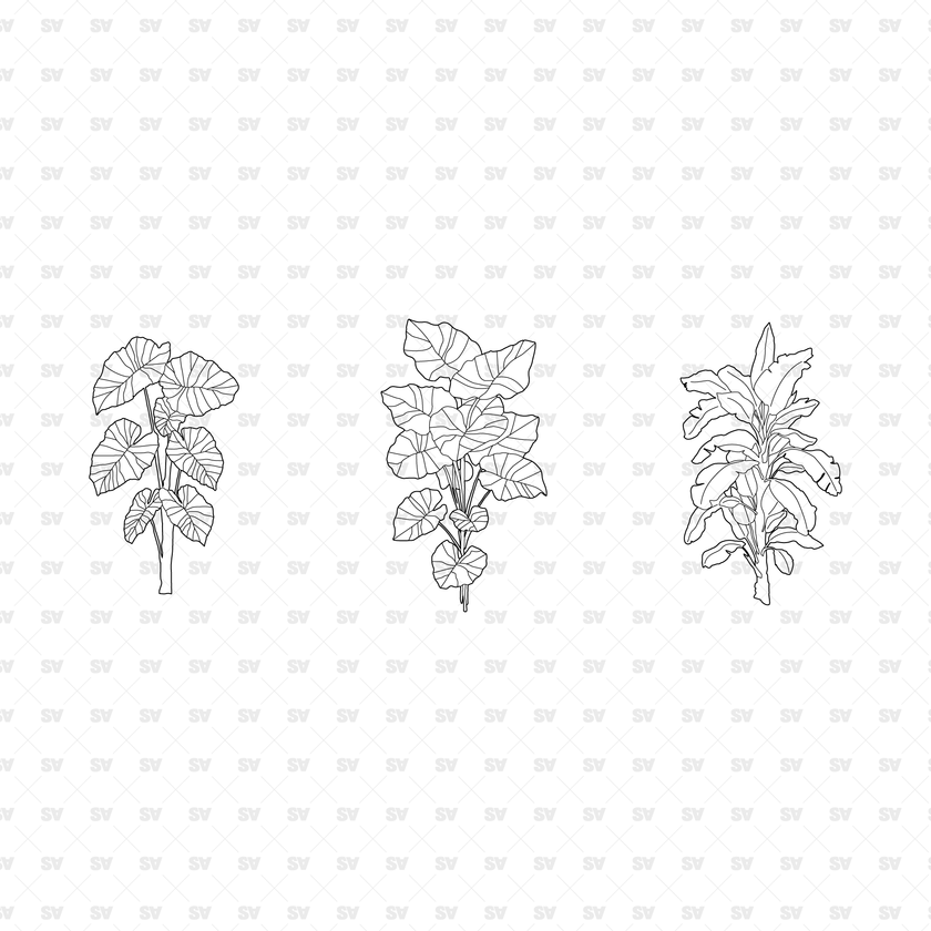 CAD, Vector, PNG Plants in Color and B/W | Studio Alternativi