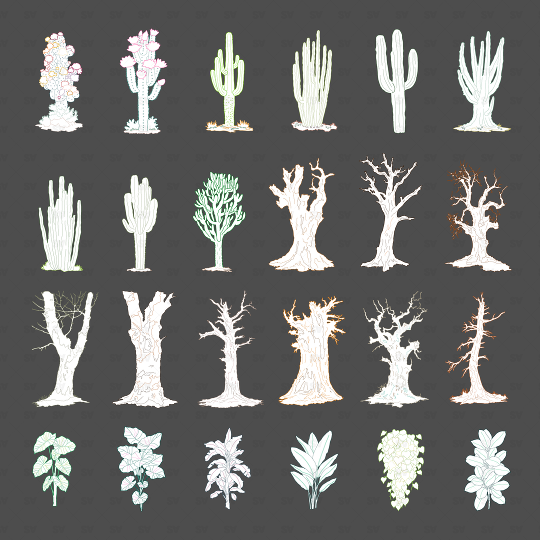 CAD, Vector, PNG Plants in Color and B/W | Studio Alternativi