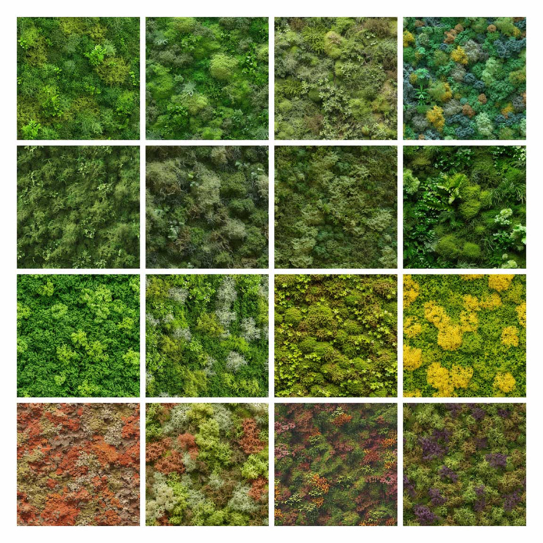 Architectural Materials | Patterns | Moss Textures – Studio Alternativi