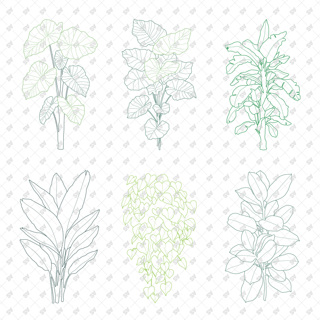 CAD, Vector, PNG Plants in Color and B/W – Studio Alternativi
