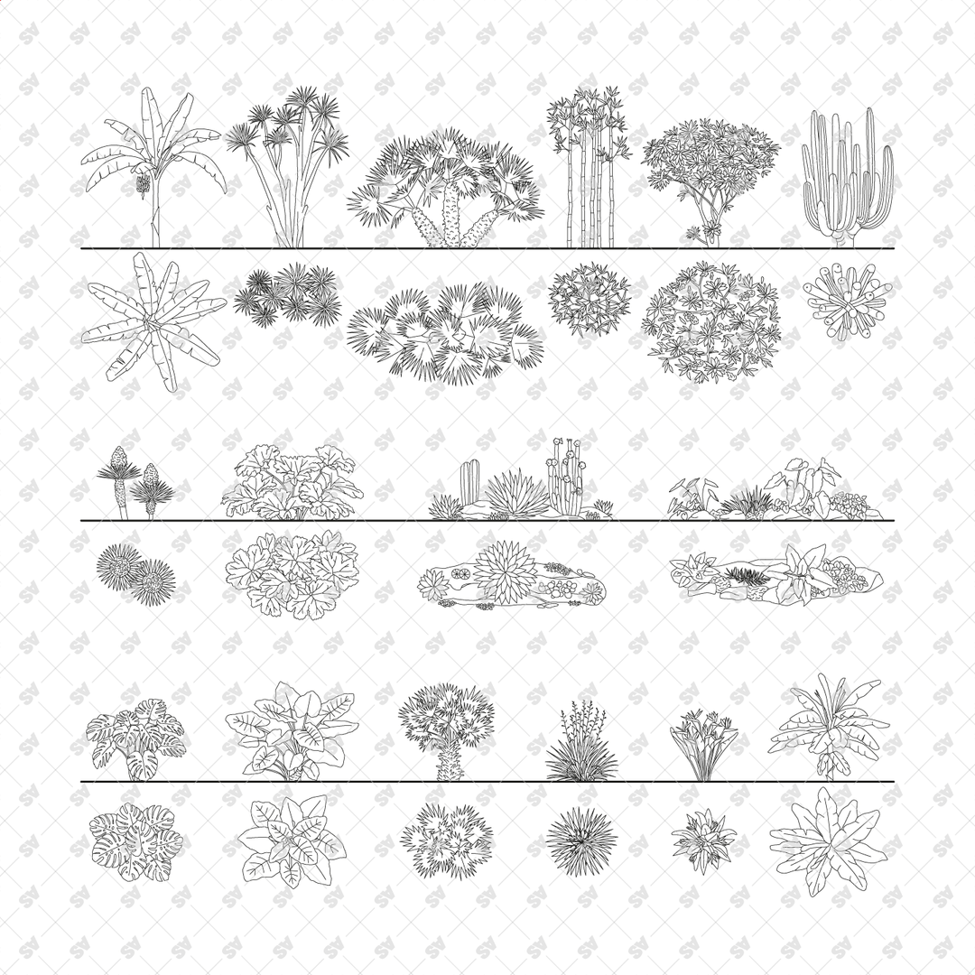 CAD and Vector Line Drawing Tropical Plants Set – Studio Alternativi