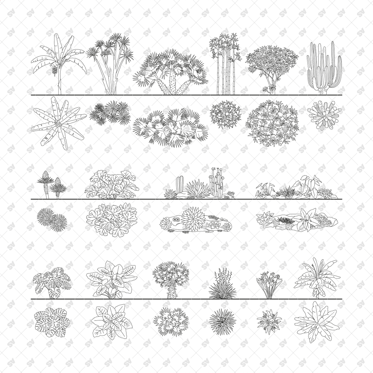 Revit Family Tropical Plants Set (Top + Side view) – Studio Alternativi