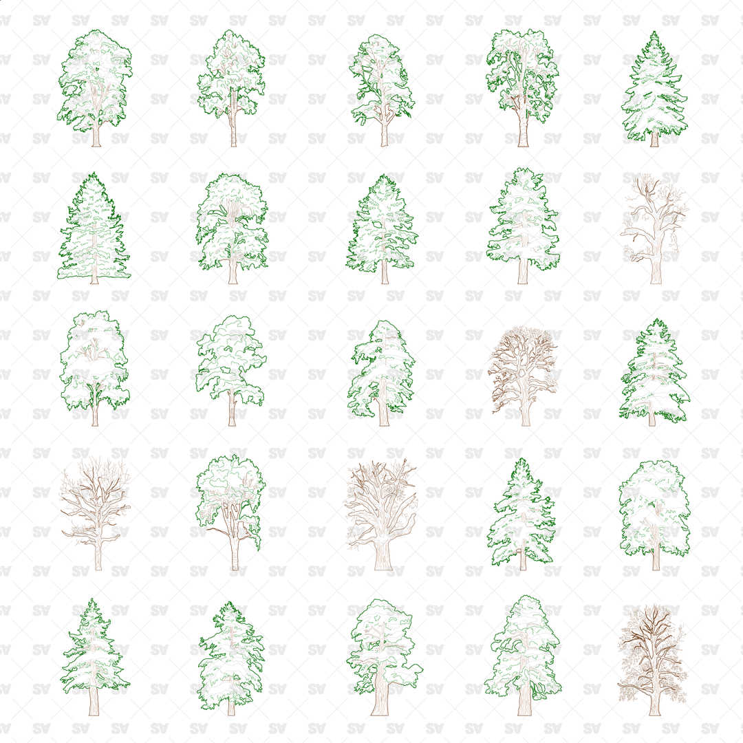 CAD, Vector, PNG Winter Trees in Color and B/W – Studio Alternativi