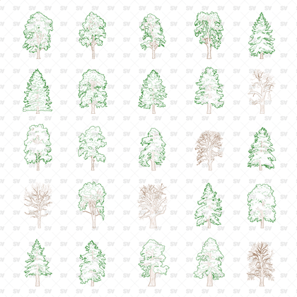 CAD, Vector, PNG Winter Trees in Color and B/W – Studio Alternativi