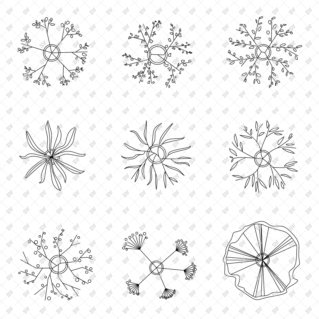 CAD Vector Line-Art Plants, Trees in Planters (Top View) – Studio ...