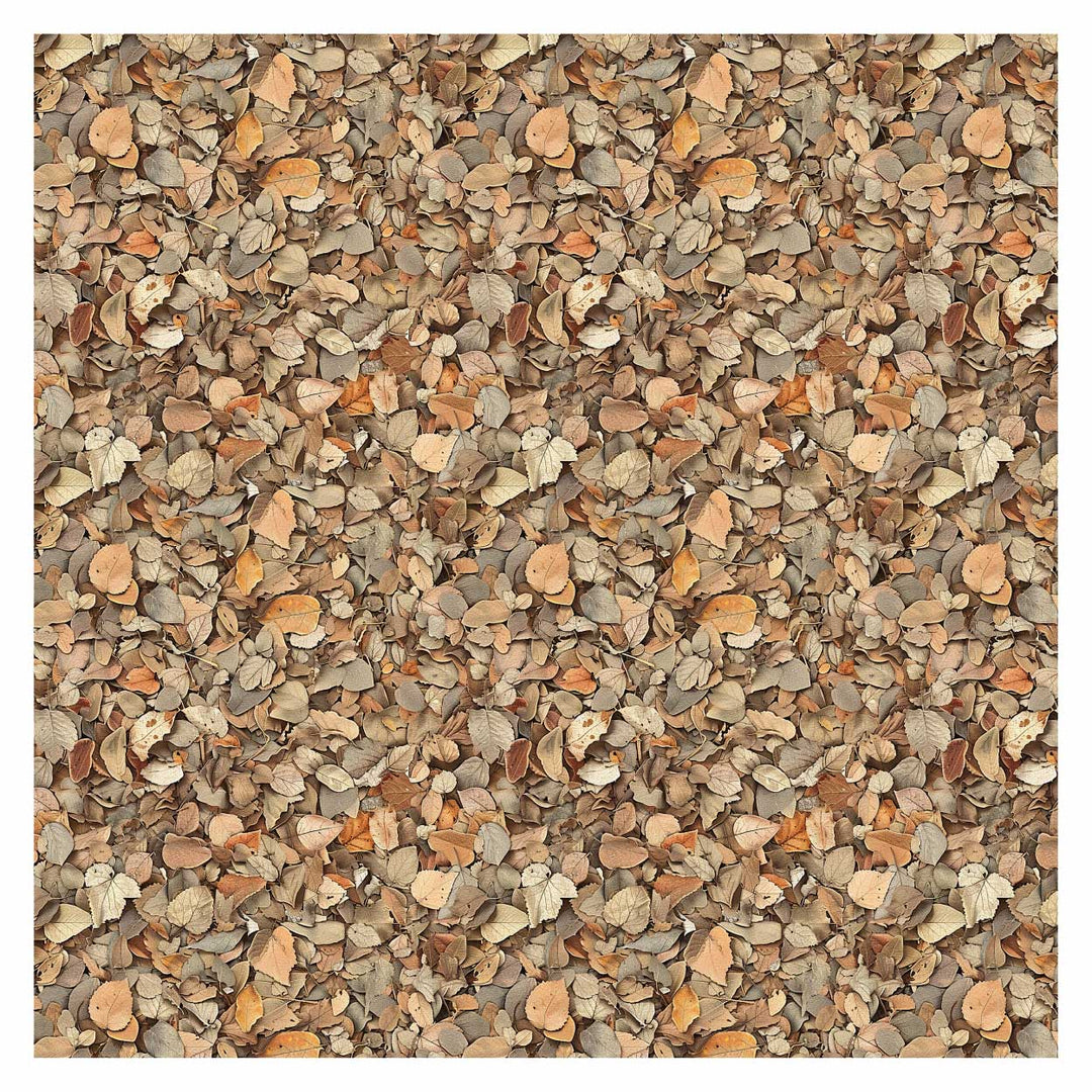 Architectural Materials | Patterns | Foliage Debris Textures – Studio ...