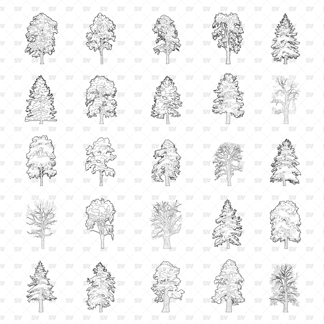 CAD, Vector, PNG Winter Trees in Color and B/W – Studio Alternativi