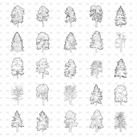 CAD, Vector, PNG Winter Trees in Color and B/W – Studio Alternativi