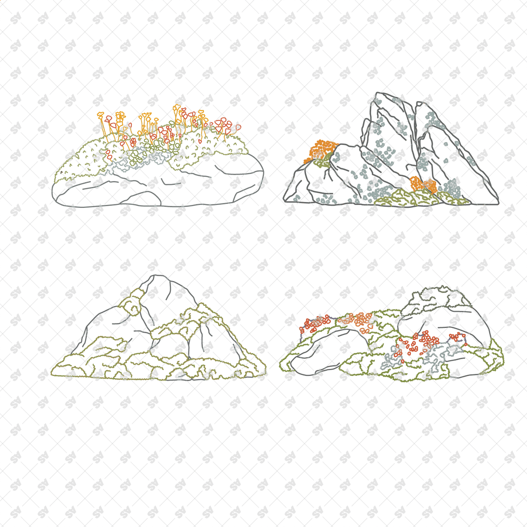 CAD, Vector, PNG Rockscapes in Color and B/W | Studio Alternativi