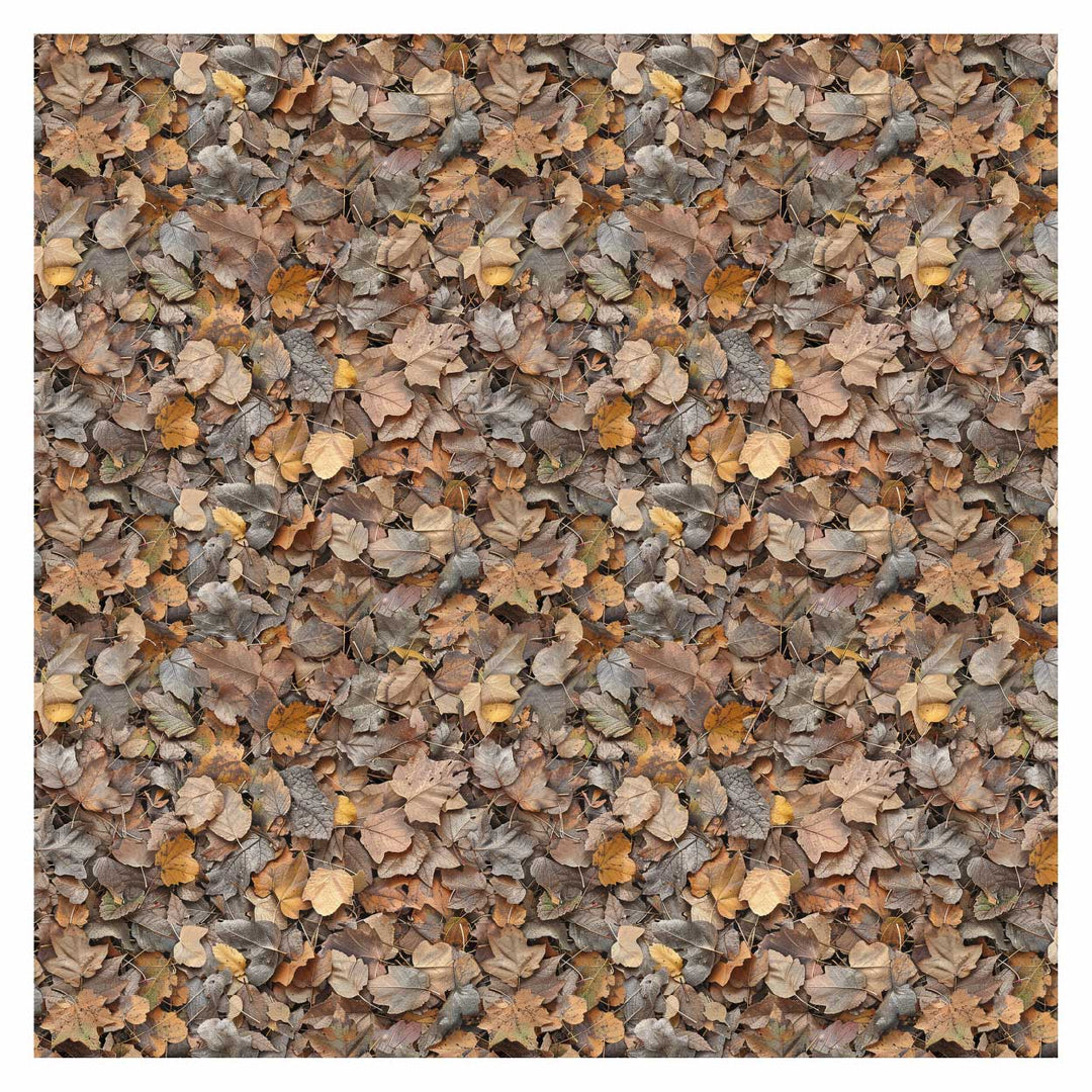 Architectural Materials | Patterns | Foliage Debris Textures – Studio ...