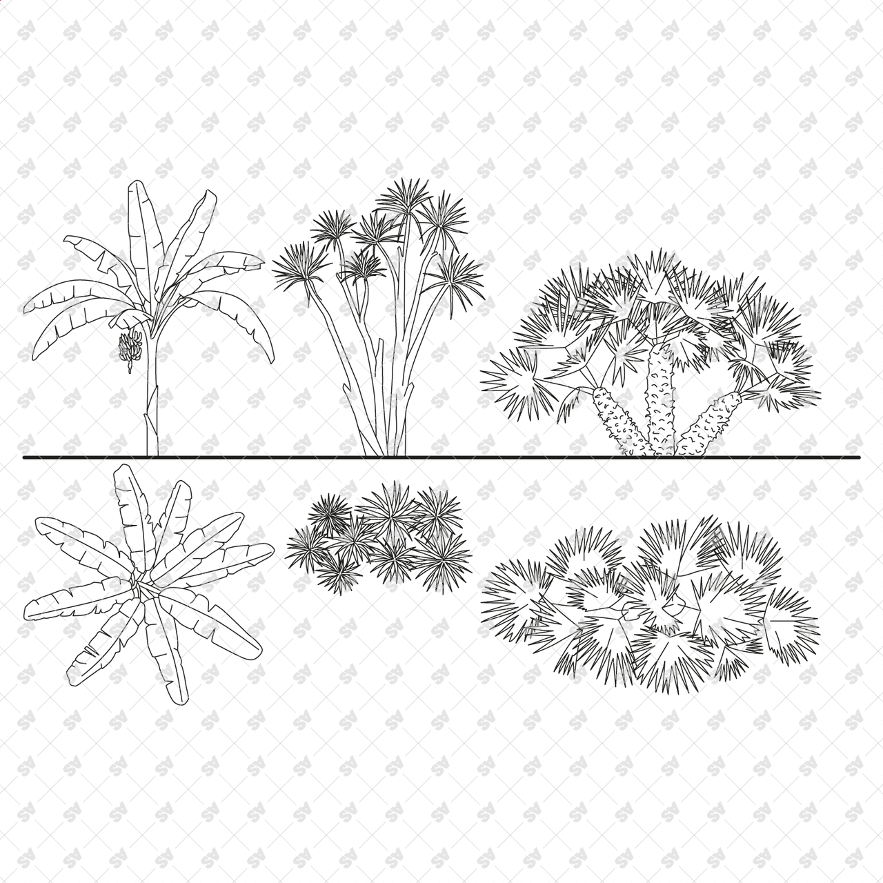 CAD and Vector Line Drawing Tropical Plants Set – Studio Alternativi
