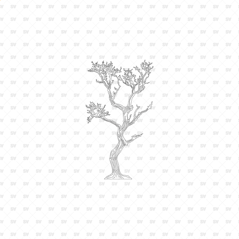 CAD, Vector, PNG Trees | Studio Alternativi