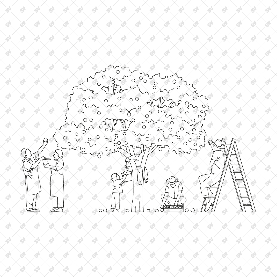 CAD and Vector Line Drawing Gardening Set – Studio Alternativi
