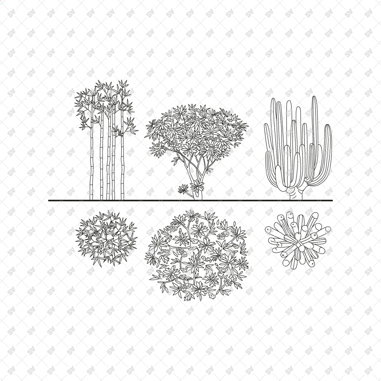 CAD and Vector Line Drawing Tropical Plants Set – Studio Alternativi