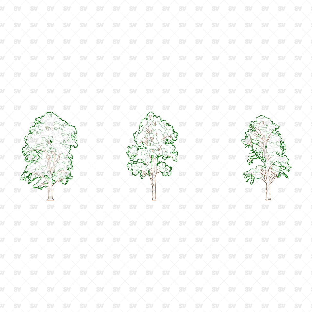 CAD, Vector, PNG Winter Trees in Color and B/W – Studio Alternativi