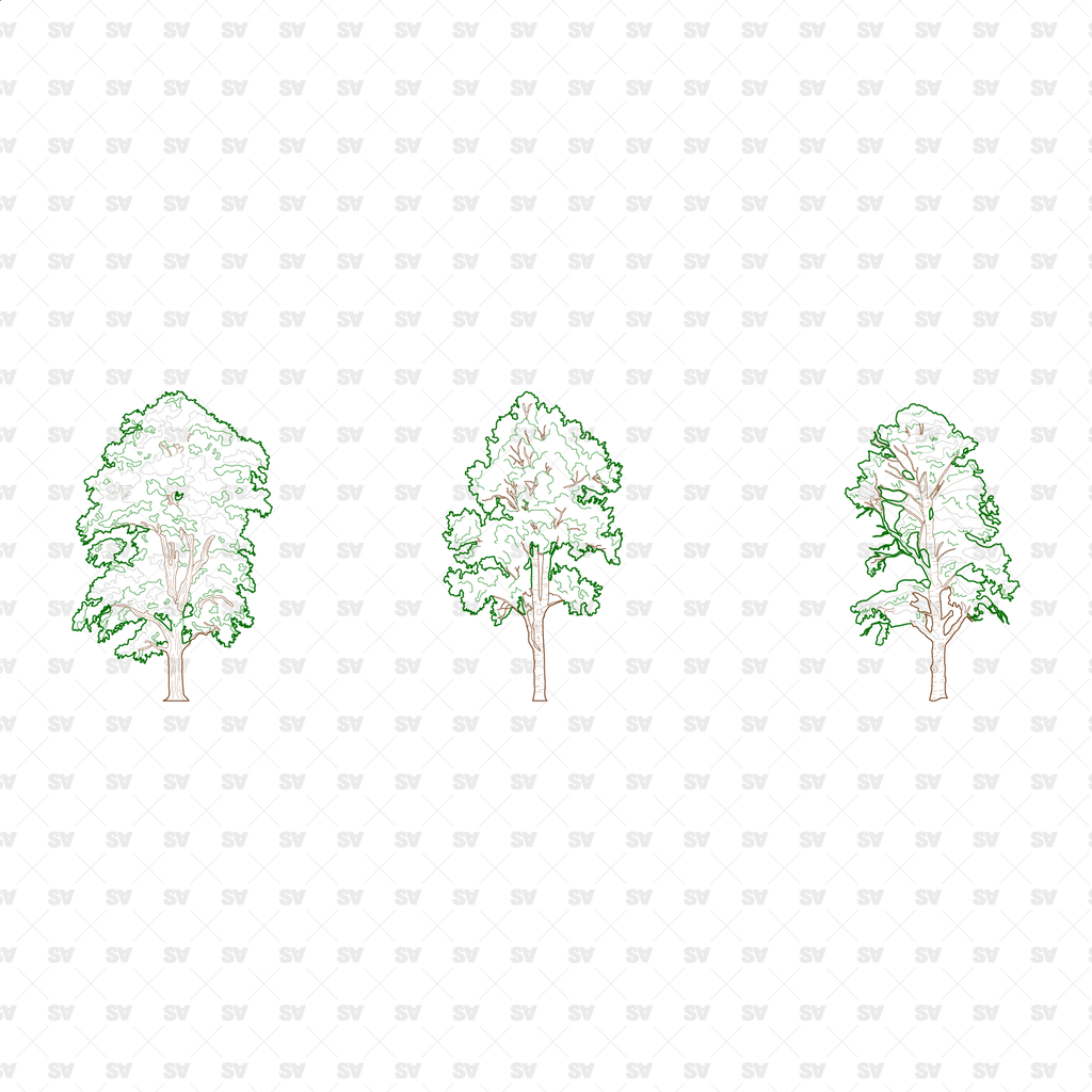 CAD, Vector, PNG Winter Trees in Color and B/W | Studio Alternativi