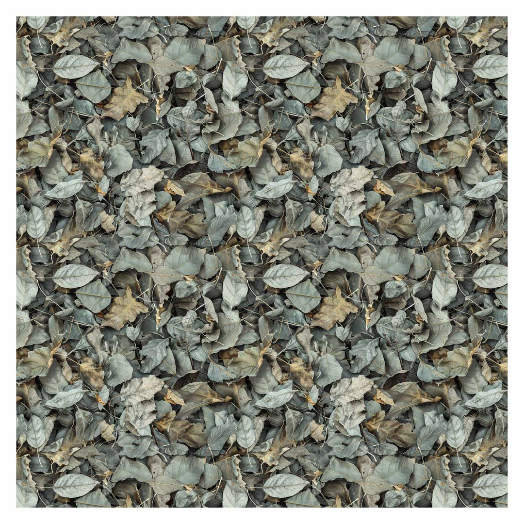 Architectural Materials | Patterns | Foliage Debris Textures – Studio ...