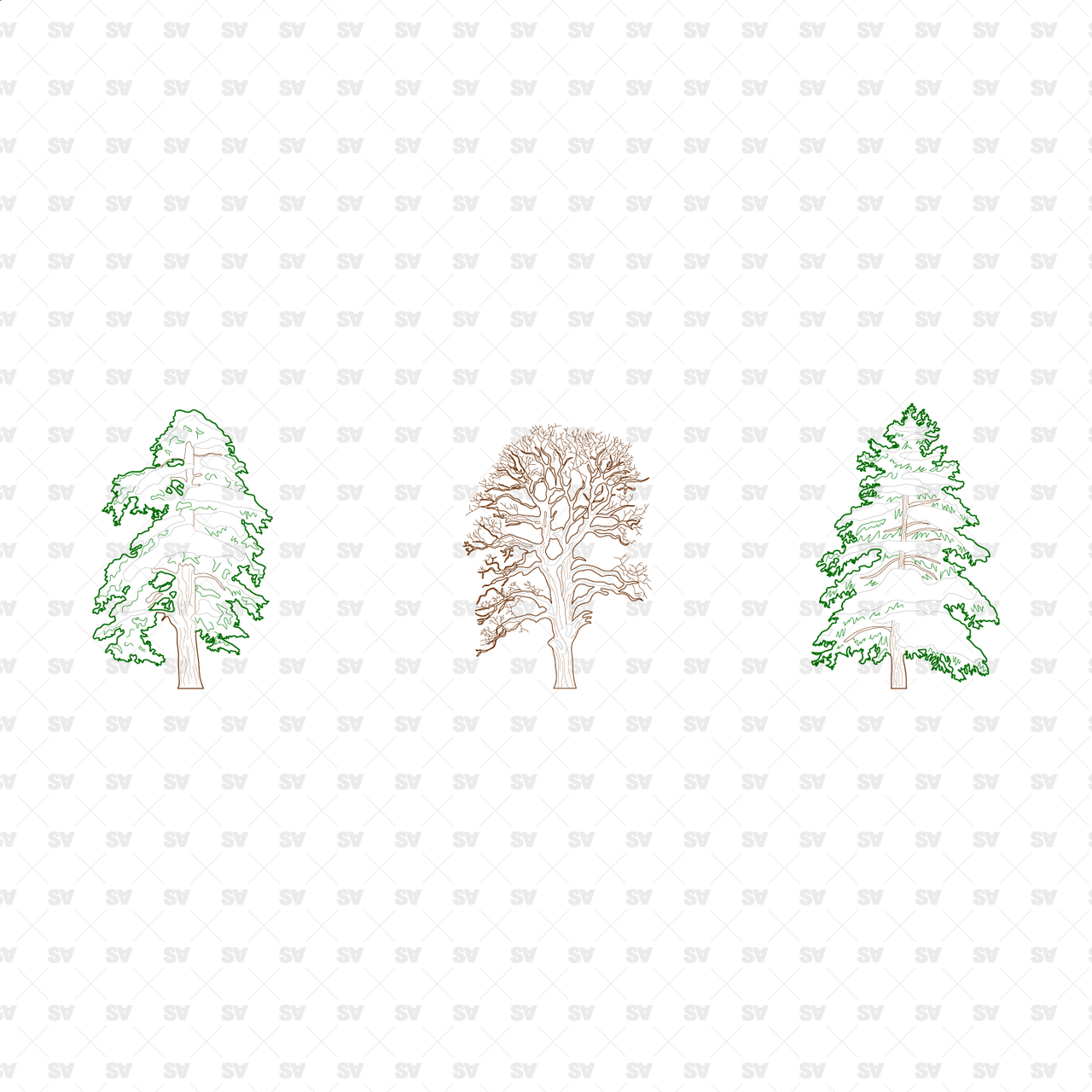CAD, Vector, PNG Winter Trees in Color and B/W – Studio Alternativi