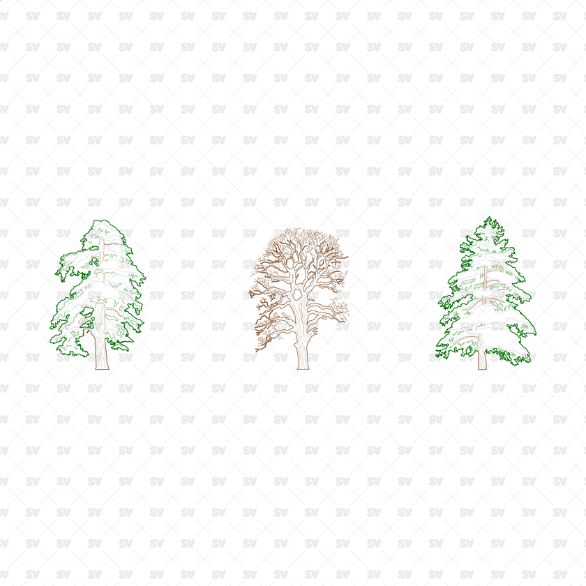 CAD, Vector, PNG Winter Trees in Color and B/W – Studio Alternativi