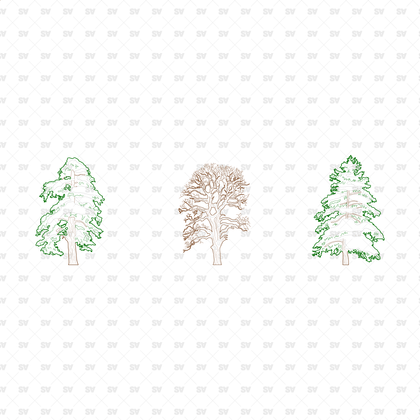 CAD, Vector, PNG Winter Trees in Color and B/W | Studio Alternativi