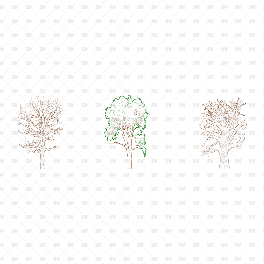 CAD, Vector, PNG Winter Trees in Color and B/W – Studio Alternativi