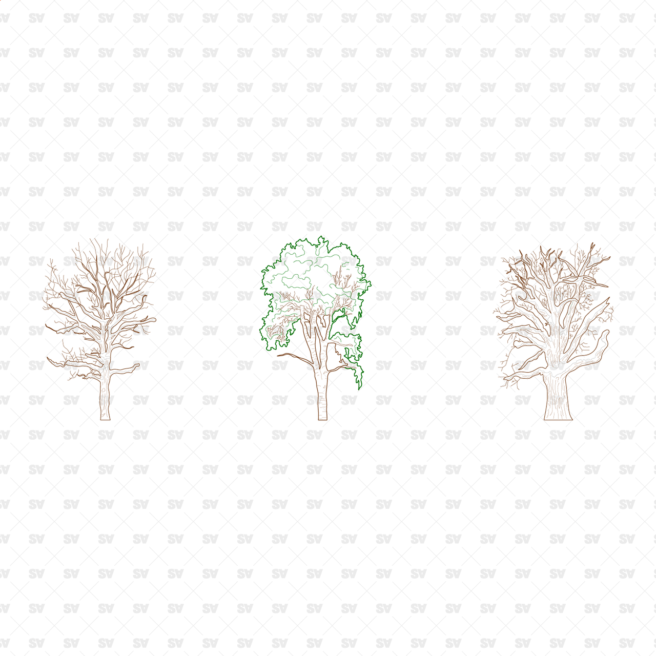 CAD, Vector, PNG Winter Trees in Color and B/W – Studio Alternativi