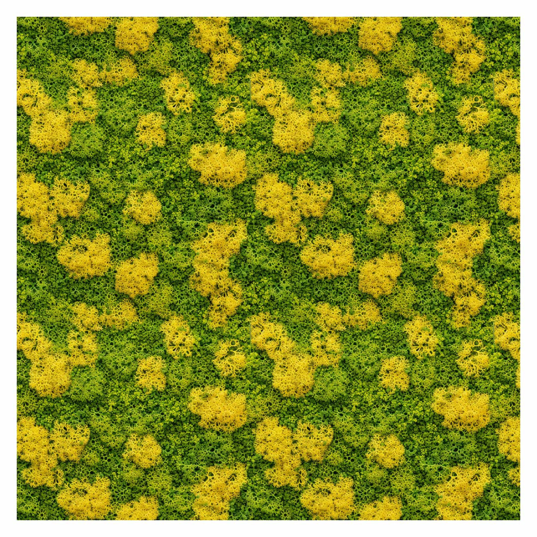 Architectural Materials | Patterns | Moss Textures – Studio Alternativi