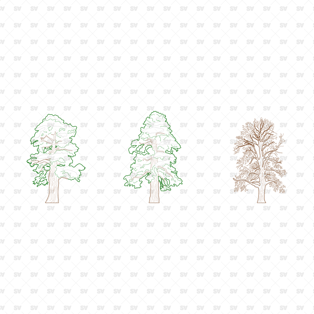 CAD, Vector, PNG Winter Trees in Color and B/W | Studio Alternativi