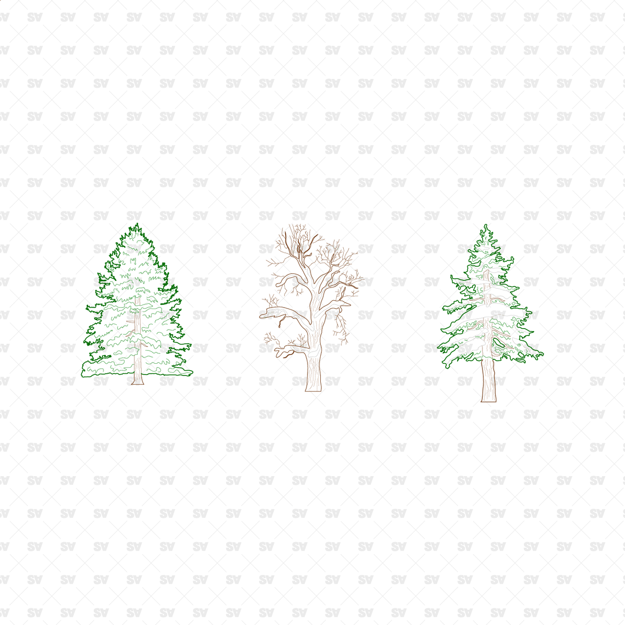 CAD, Vector, PNG Winter Trees in Color and B/W – Studio Alternativi