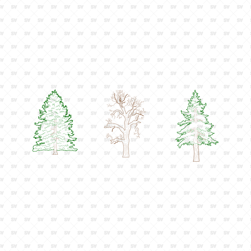 CAD, Vector, PNG Winter Trees in Color and B/W – Studio Alternativi