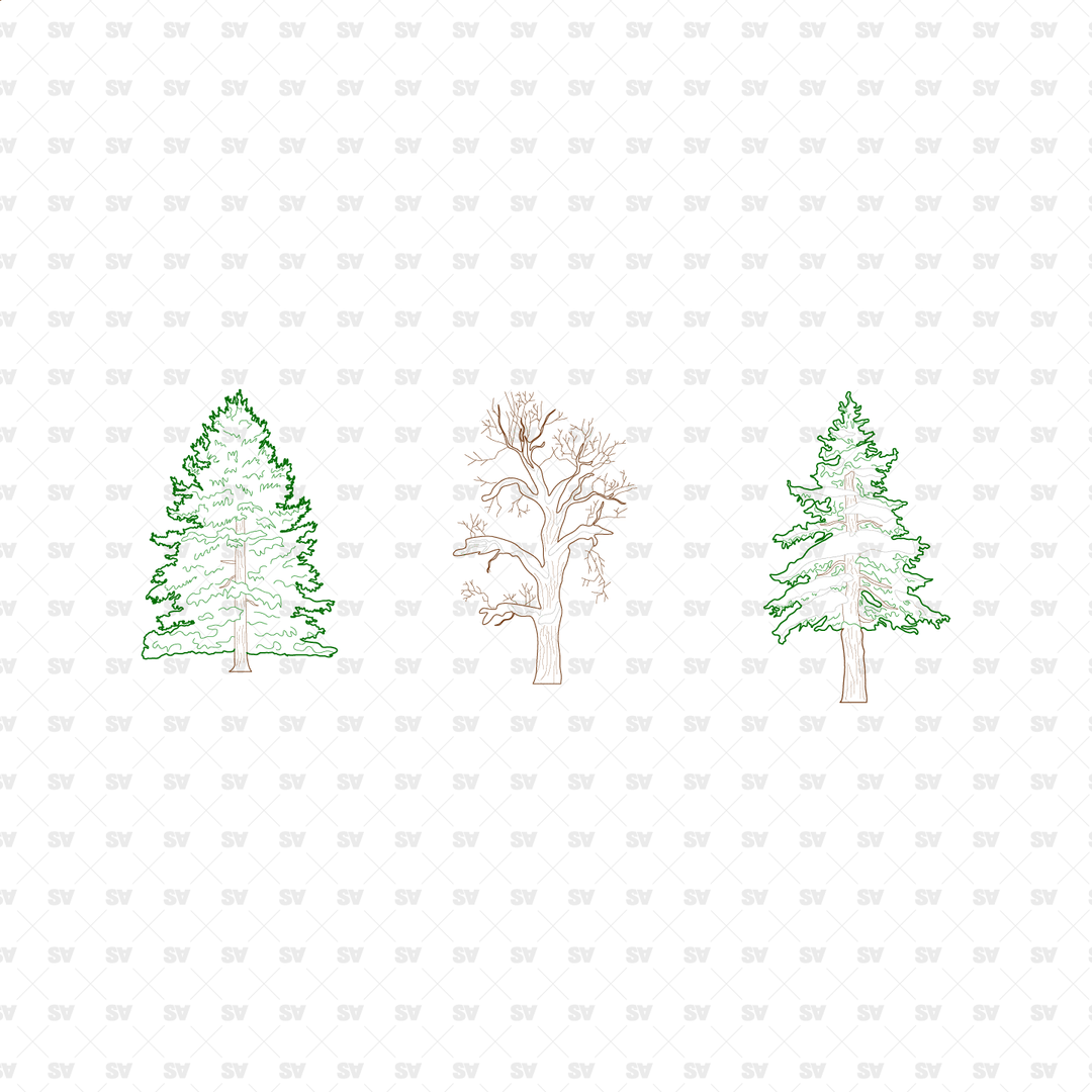 CAD, Vector, PNG Winter Trees in Color and B/W | Studio Alternativi