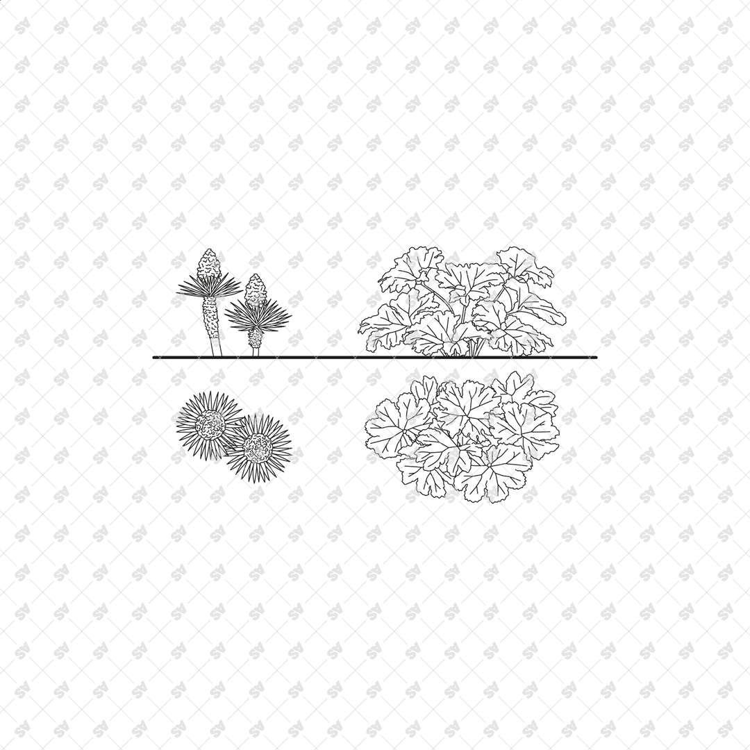 CAD and Vector Line Drawing Tropical Plants Set – Studio Alternativi