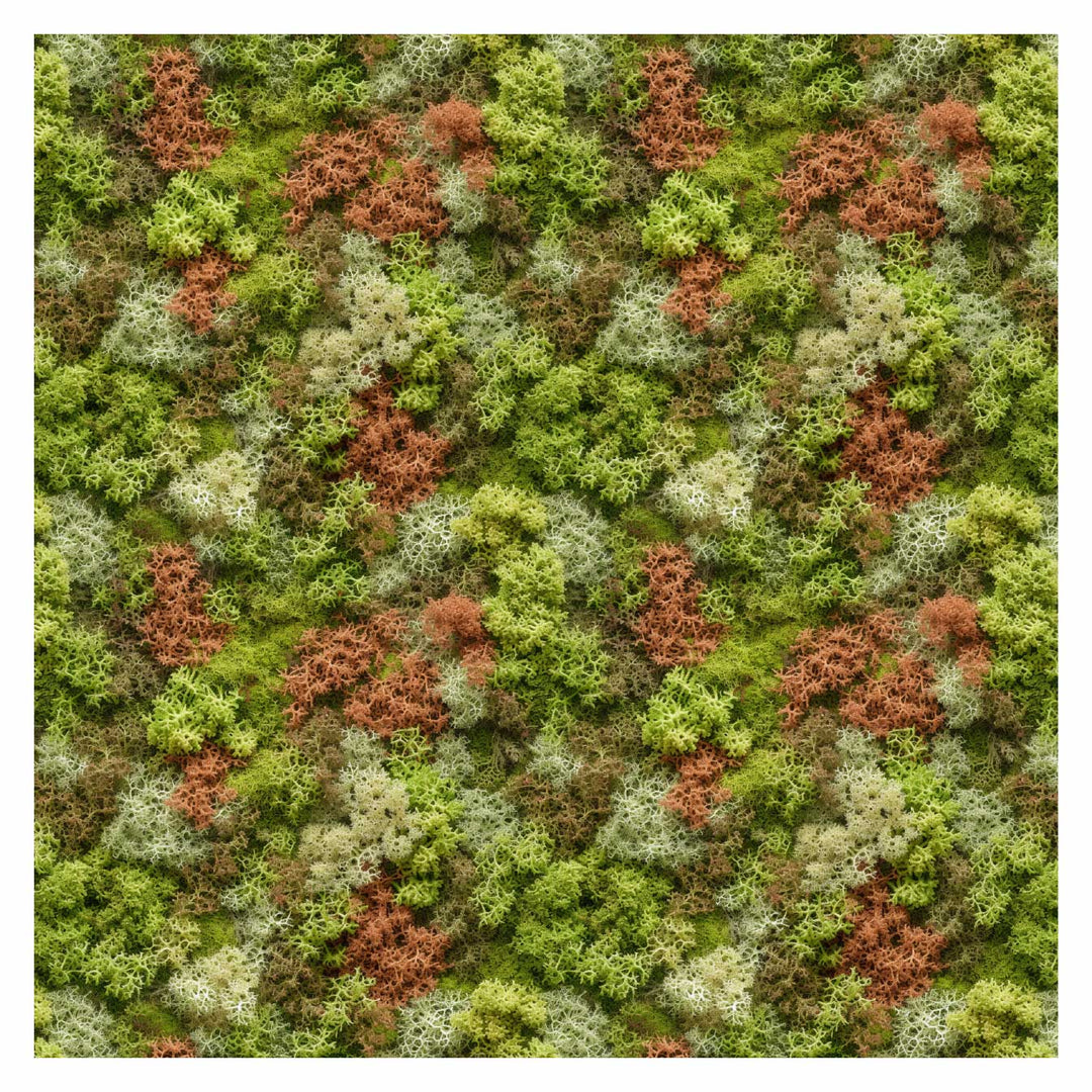 Architectural Materials | Patterns | Moss Textures – Studio Alternativi