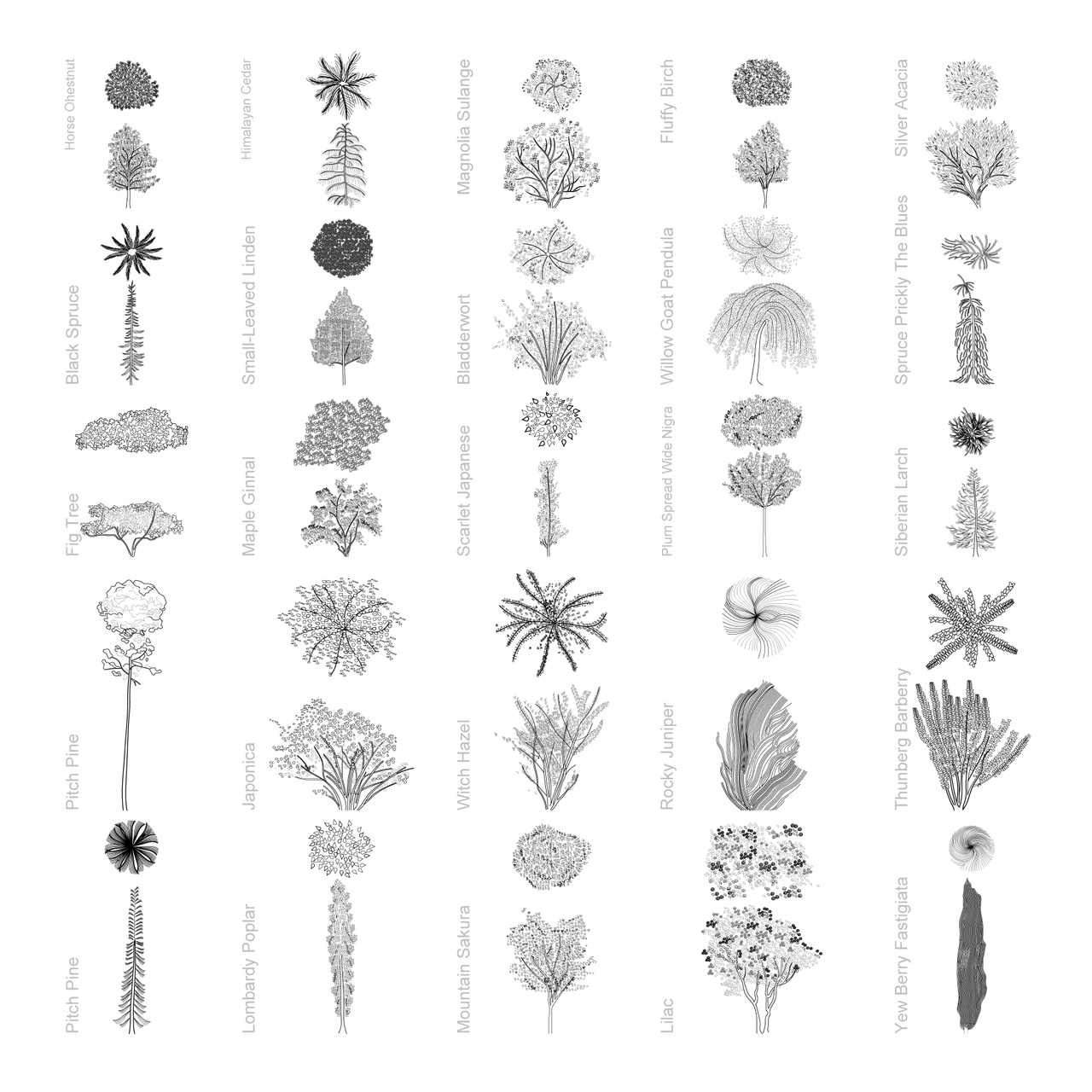 DWG and Vector Japanese Style Trees | Studio Alternativi