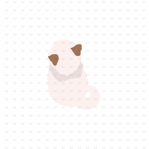 Top View Cats – Vector & PNG for Plans & Diagrams – Studio Alternativi