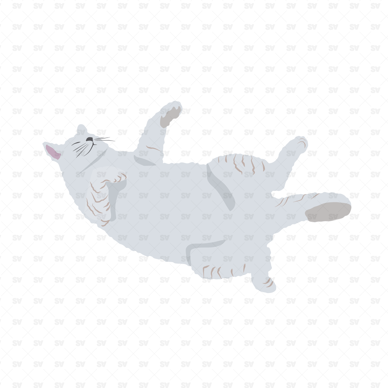Top View Cats – Vector & PNG for Plans & Diagrams – Studio Alternativi