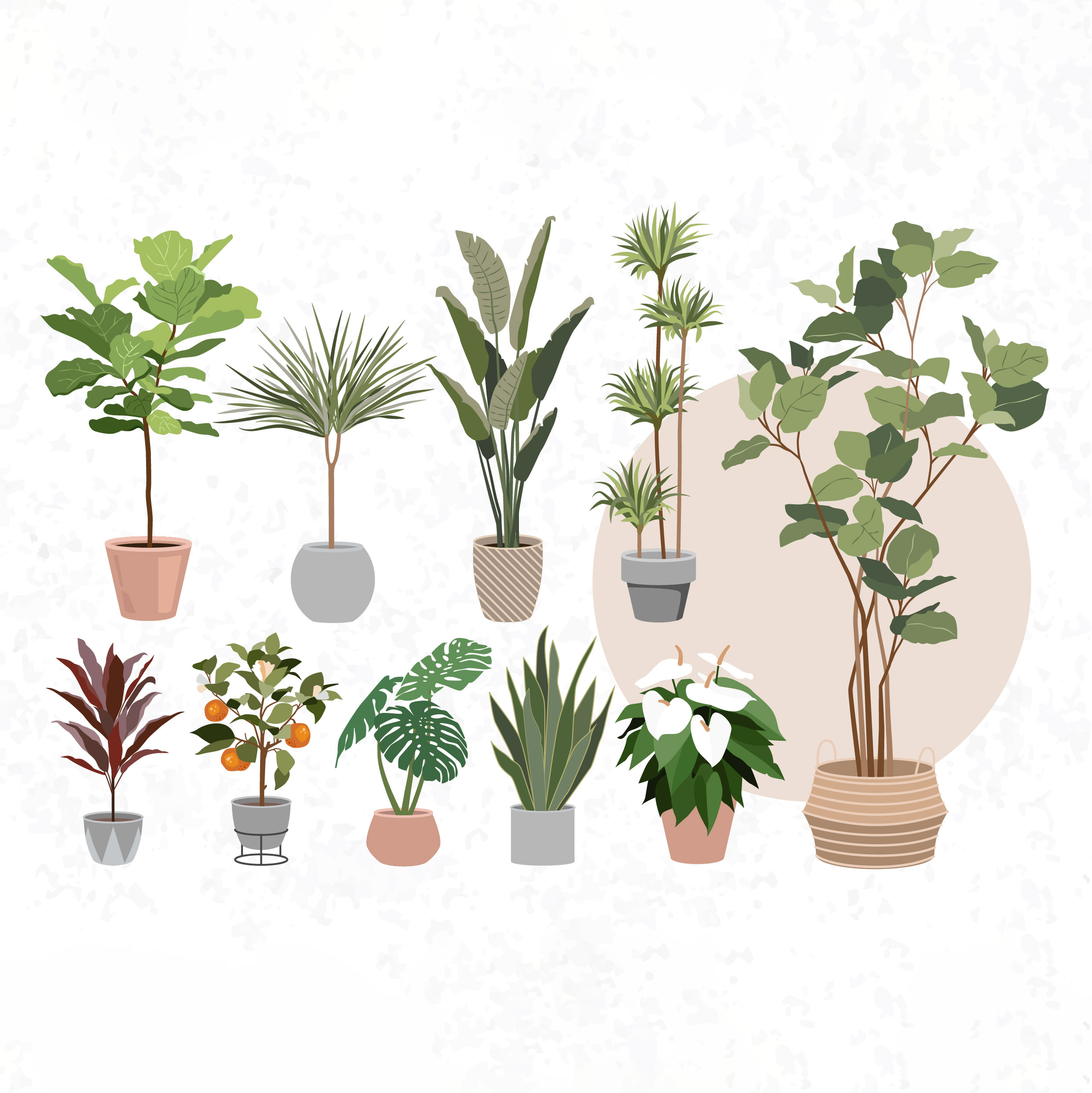Flat Vector Plants: 10 Illustrated Figures – Studio Alternativi