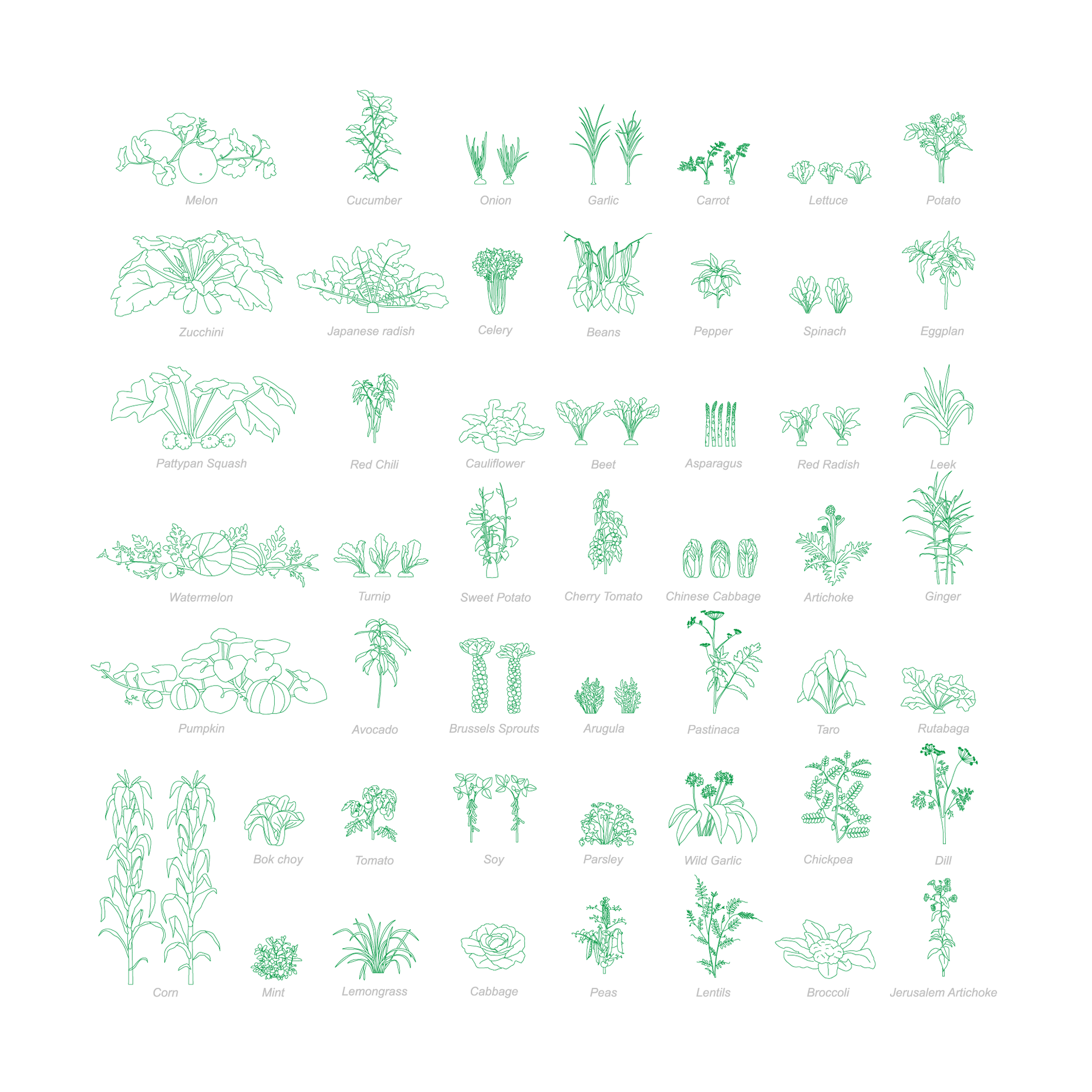 Studio Alternativi — Digital Products for Architects