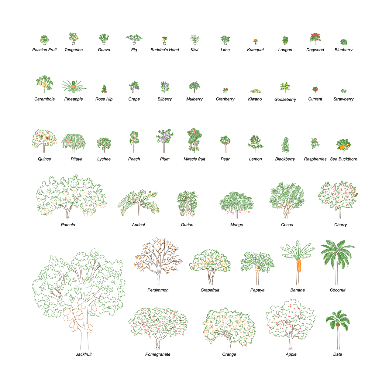 CAD & Vector Fruit Plants Mega-Pack – Studio Alternativi
