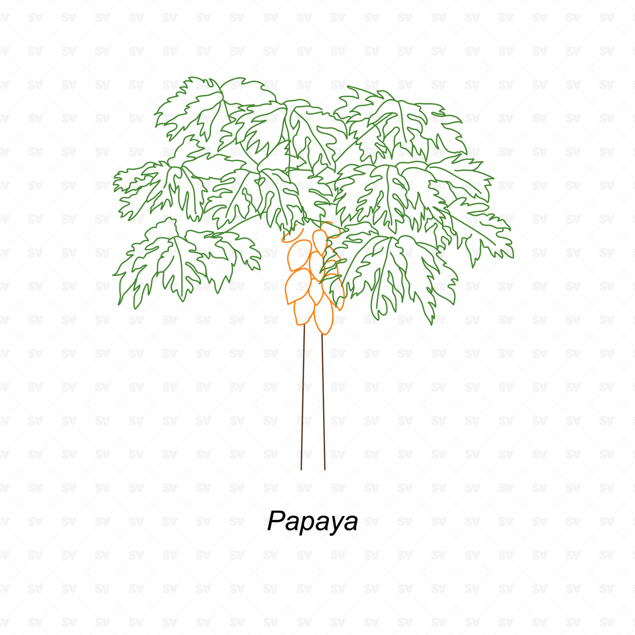 CAD & Vector Fruit Plants Mega-Pack – Studio Alternativi