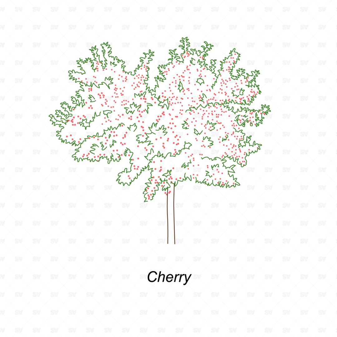 CAD & Vector Fruit Plants Mega-Pack – Studio Alternativi