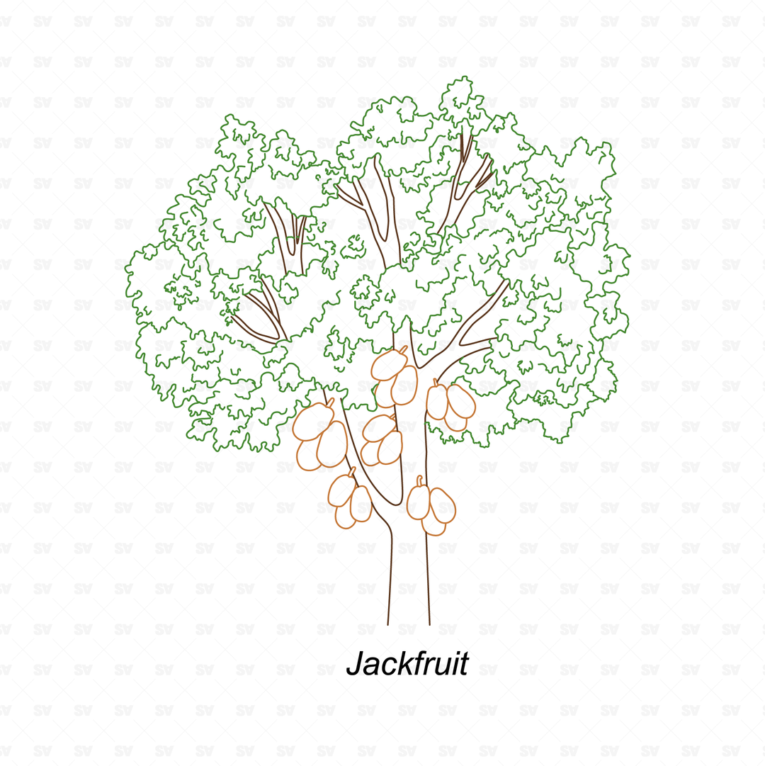 CAD & Vector Fruit Plants Mega-Pack – Studio Alternativi