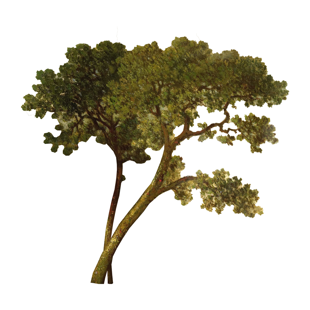 45 Vegetation & Plant Cutouts - PNGs – Studio Alternativi
