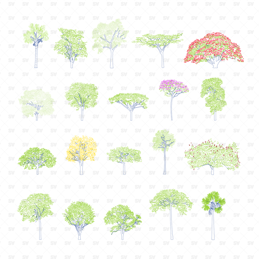 20 Illustrated flat vector tropical trees & plants | Download AI & PNG ...