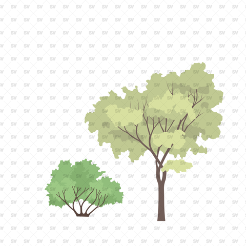Flat Vector Trees & PNGs for Architectural Design – Studio Alternativi