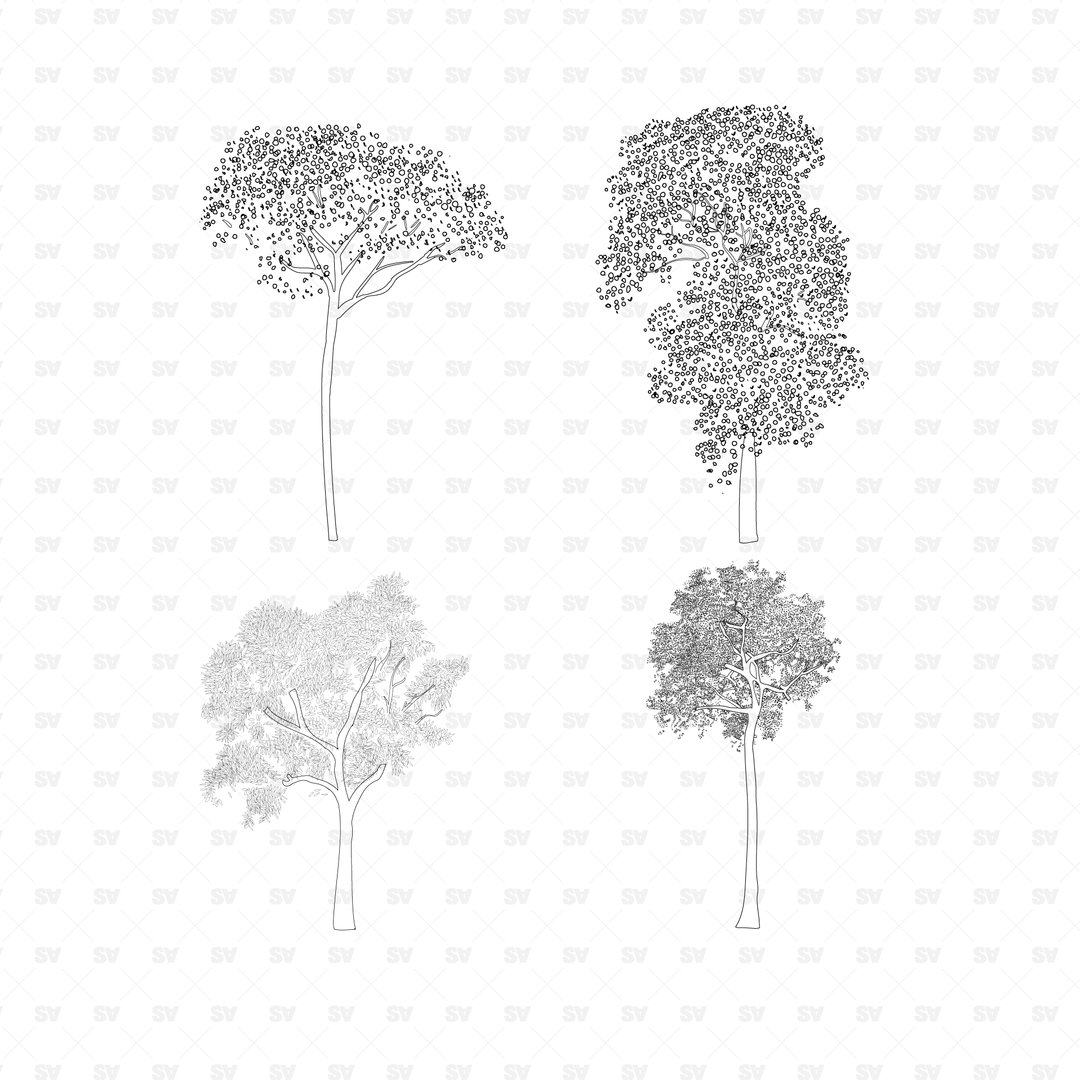 20 Illustrated flat vector tropical trees & plants | Download AI & PNG ...