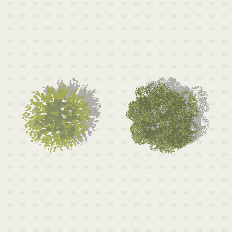 Plan View Trees with Shadows Vector Set – Studio Alternativi