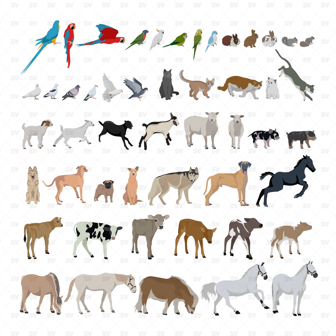 Pet Animals Mega Pack - 50 Detailed Vectors – Studio Alternativi